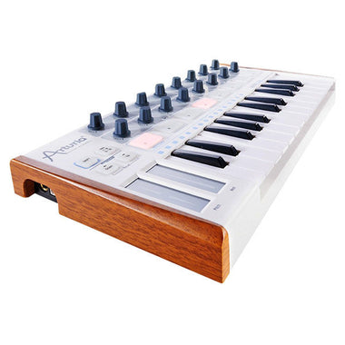 Buy Arturia MiniLab Mini Hybrid MIDI Keyboard Controller Online | Bajaao