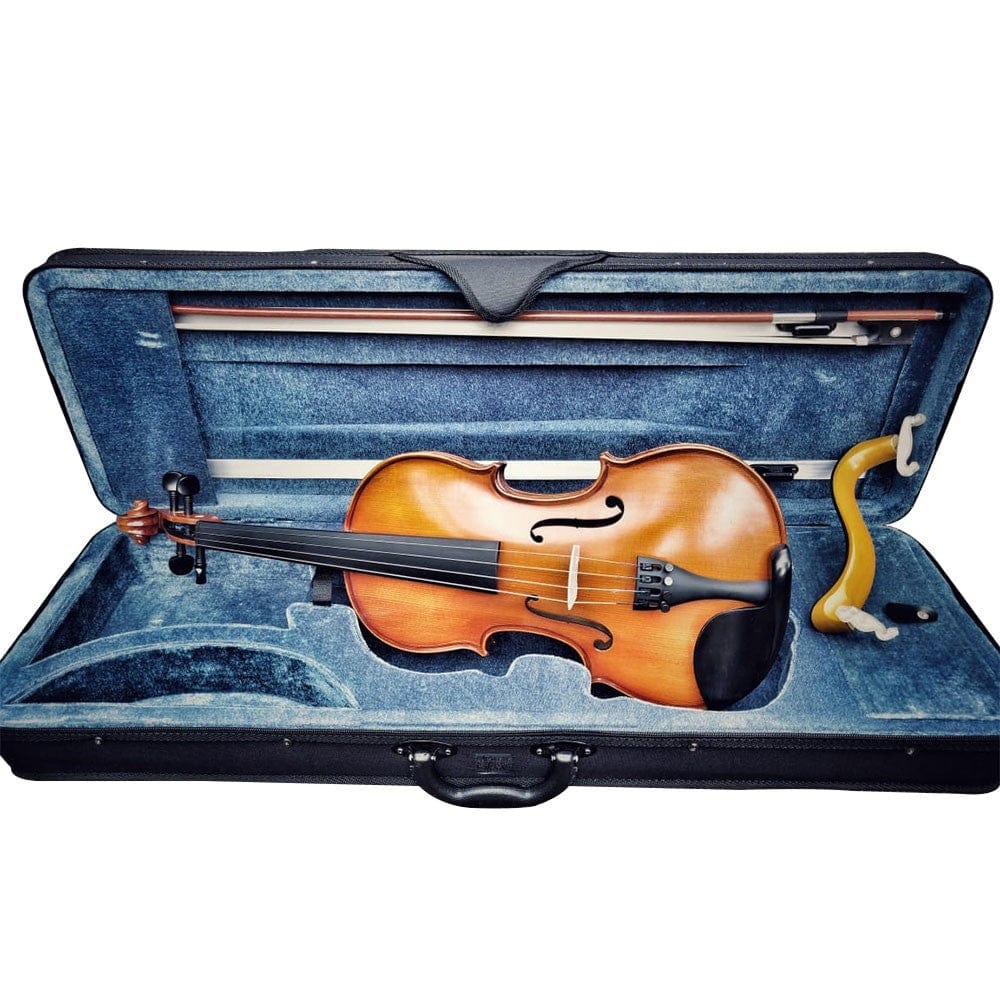 Violin: Buy Best Acoustic Electric Violins Online