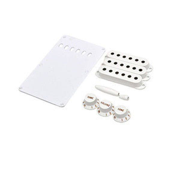 Buy Fender Accessory Kit (White) Online | Bajaao