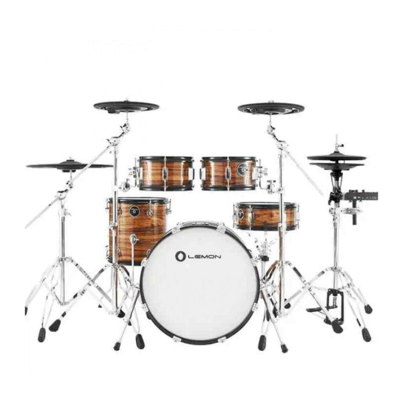 Lemon Drums T-950 Electronic Drum Kit – BAJAAO.COM