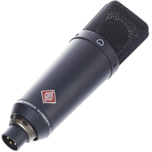 Buy Neumann TLM 193 Large Diaphragm Condenser Microphone Online | Bajaao