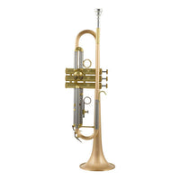 Trumpet: Buy Jupiter, Roy Benson, Jinbao Trumpet Online