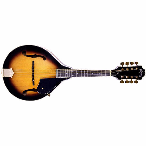 Buy Mandolin Instrument Online in India at Best Prices | Bajaao